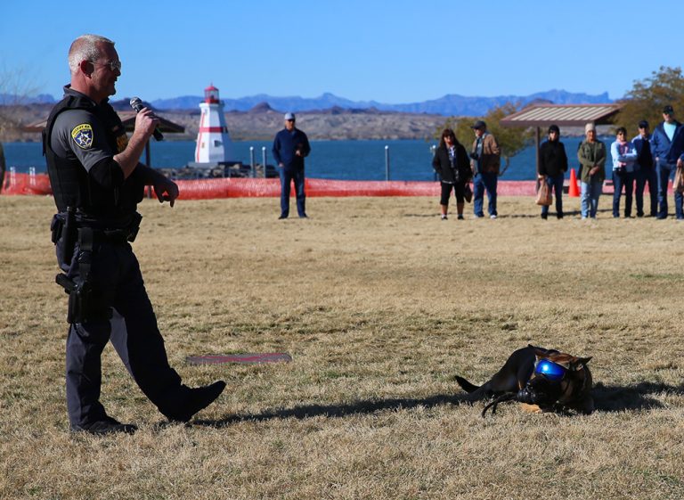 RiverScene Magazine | K-9s: Valuable Partners To Mohave County Sheriffs ...