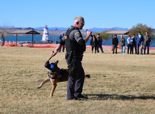 RiverScene Magazine | K-9s: Valuable Partners To Mohave County Sheriffs ...