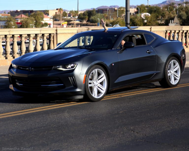 RiverScene Magazine | Camaros Cruise Through Havasu At Annual Camaros ...