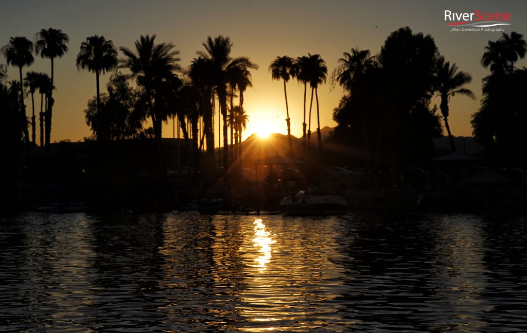 RiverScene Magazine | Exploring Havasu: Palm Trees in Paradise