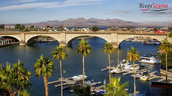 RiverScene Magazine | Exploring Havasu: Palm Trees in Paradise