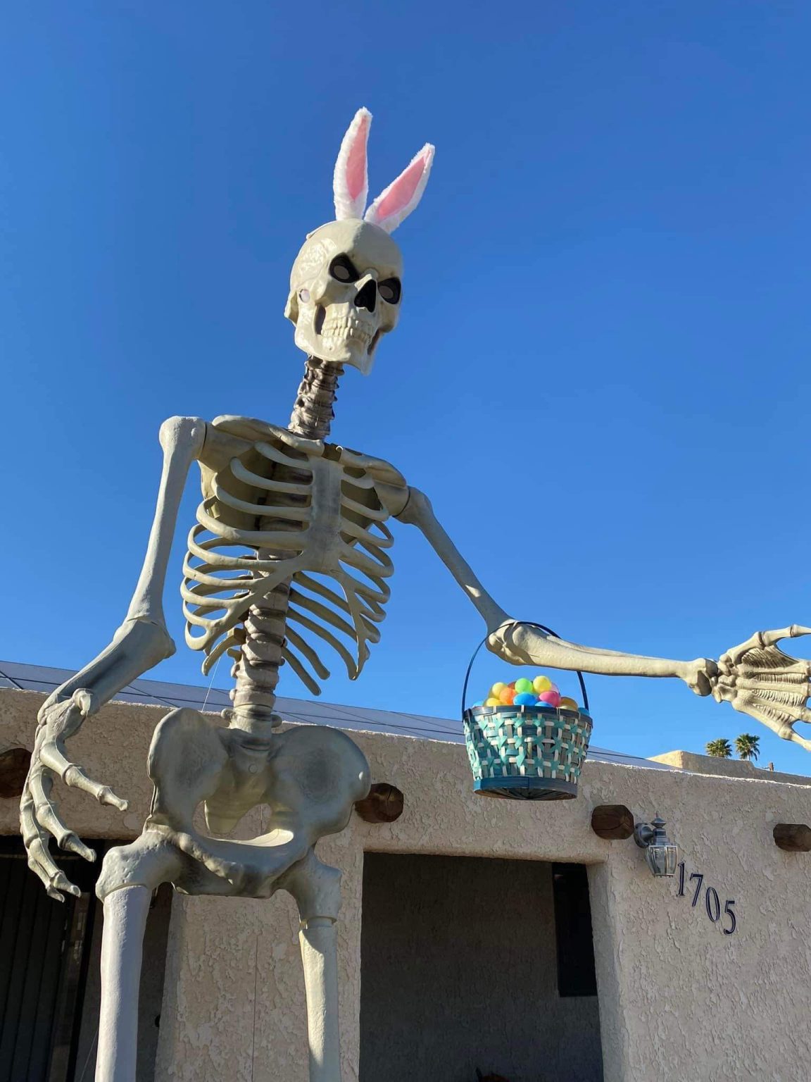 RiverScene Magazine | Al Cabone – The Havasu Fashionista Skeleton – Is ...