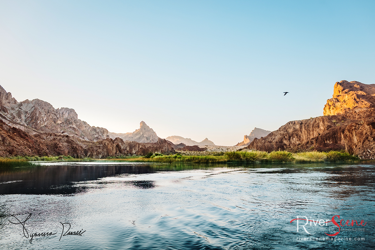 RiverScene Magazine | A Pontoon Trip To Topock Gorge From Rotary ...